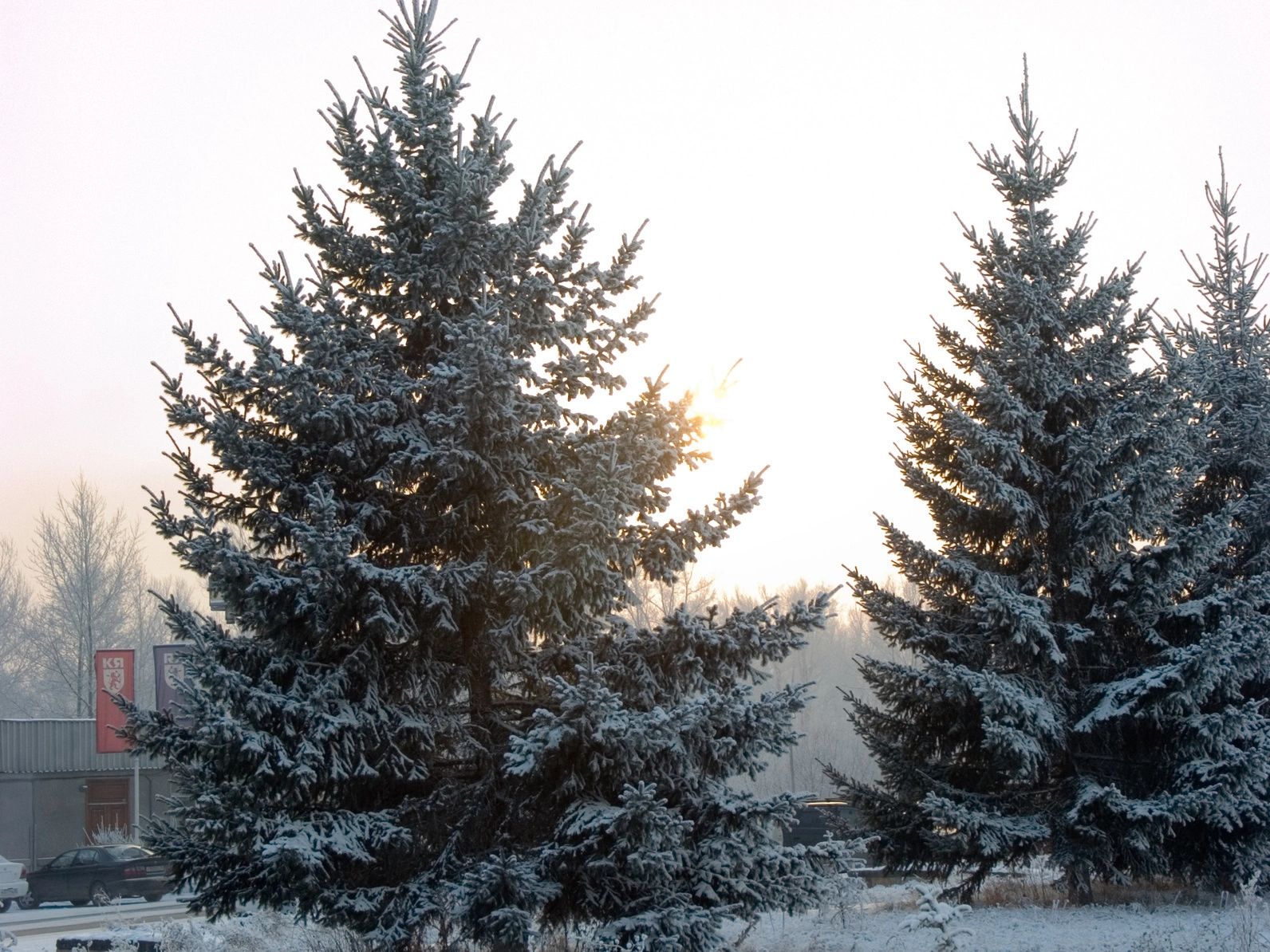 Don’t Stay Cooped Up This Winter! Enjoy These Outdoor Activities ...